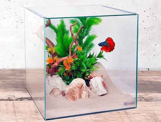Aqua One OptiClear Cube Aquarium | Fancy Fishes