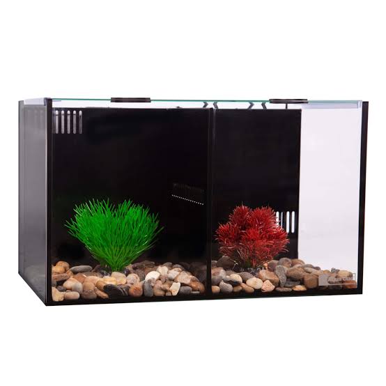 Aqua One Condo Duo Aquarium | Fancy Fishes
