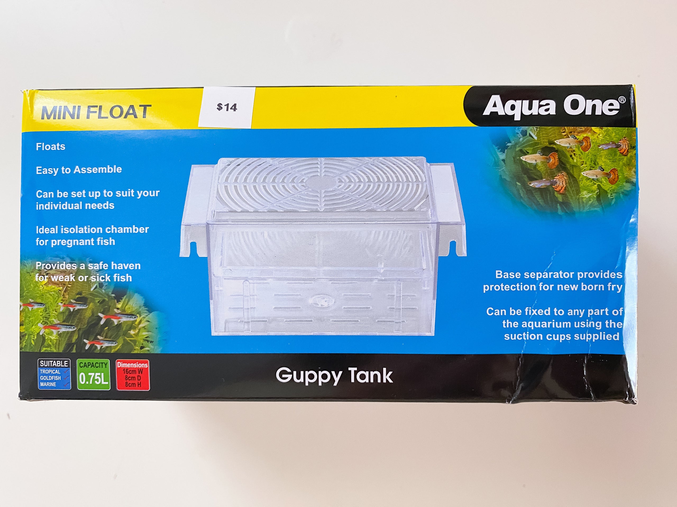 Aqua One Mini Float Guppy Tank | Fancy Fishes
