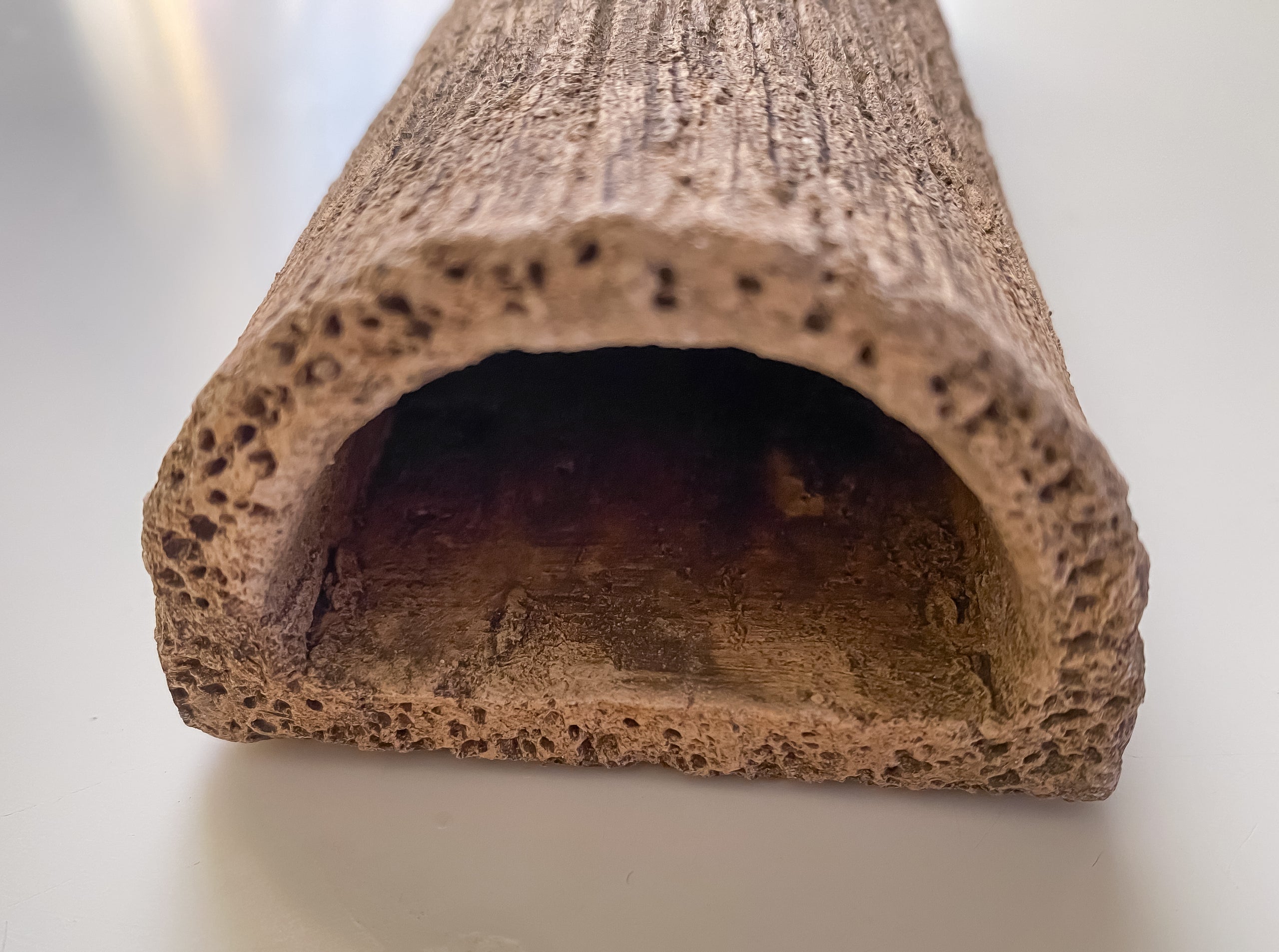 Pleco Cave Medium | Fancy Fishes