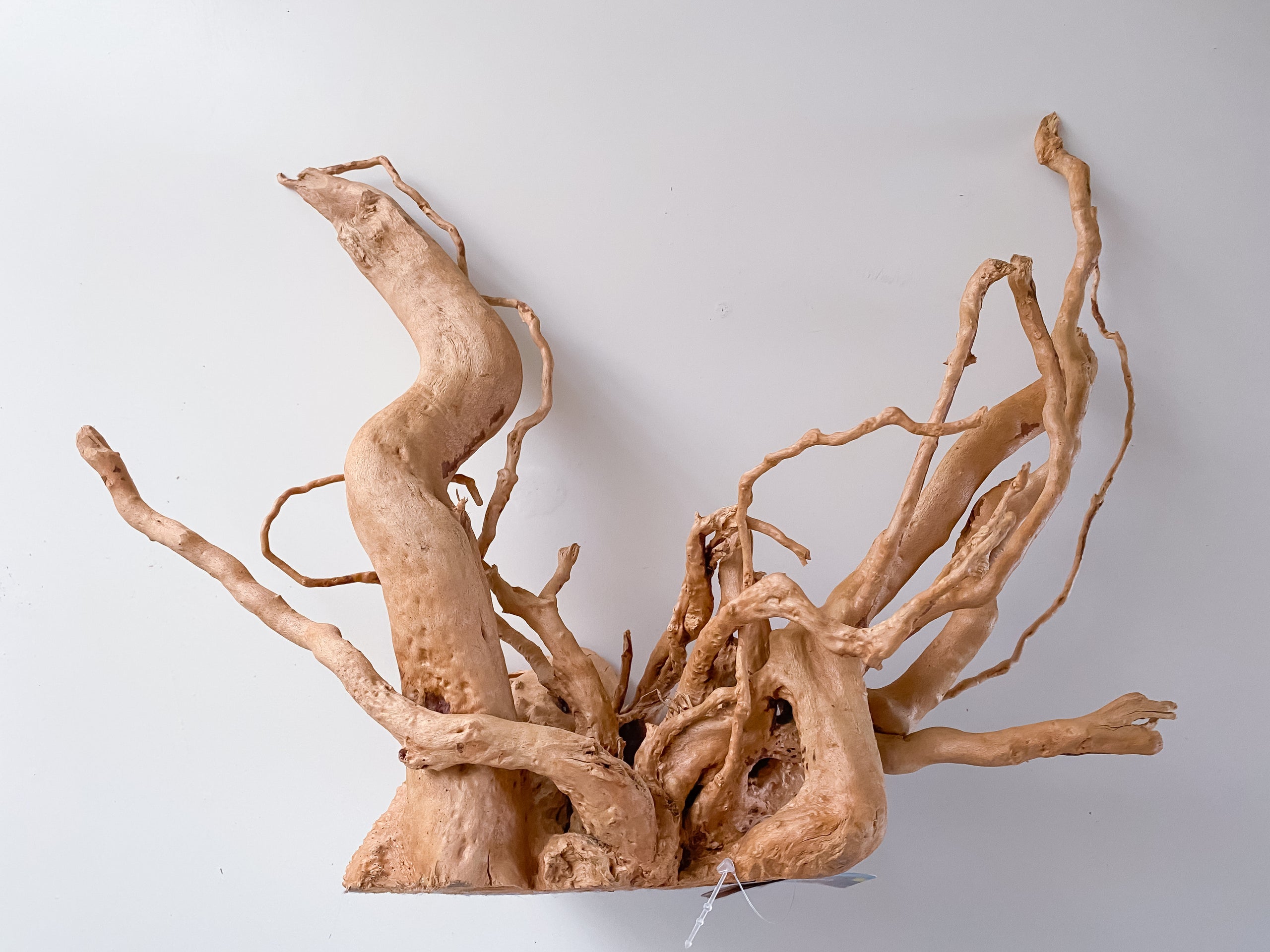 Root Vine Driftwood | Fancy Fishes